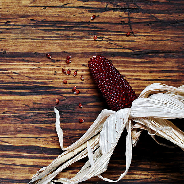 Strawberry Popcorn Untreated Corn/Microgreen Seeds | Farm Seed