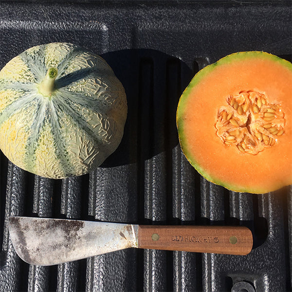 D'Artagnan F1 Untreated Melon Seeds | Osborne Farm Seeds
