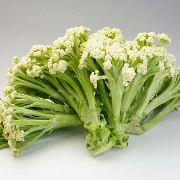 Fioretto 70 F1 Untreated Cauliflower Seeds | Osborne Farm Seeds